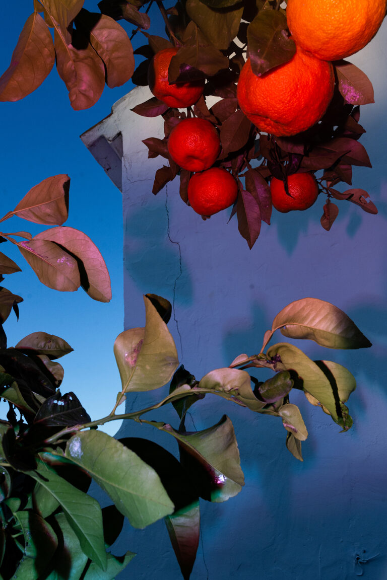 Prints | William Josephs Radford